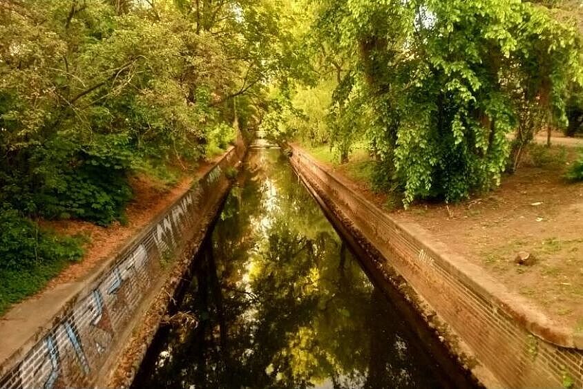 Berlin's River Panke Restoration Threatened by Climate Change | Mirage News