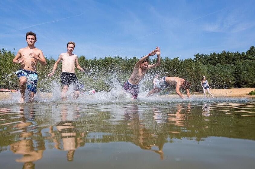 What's Up In Lake? | Mirage News