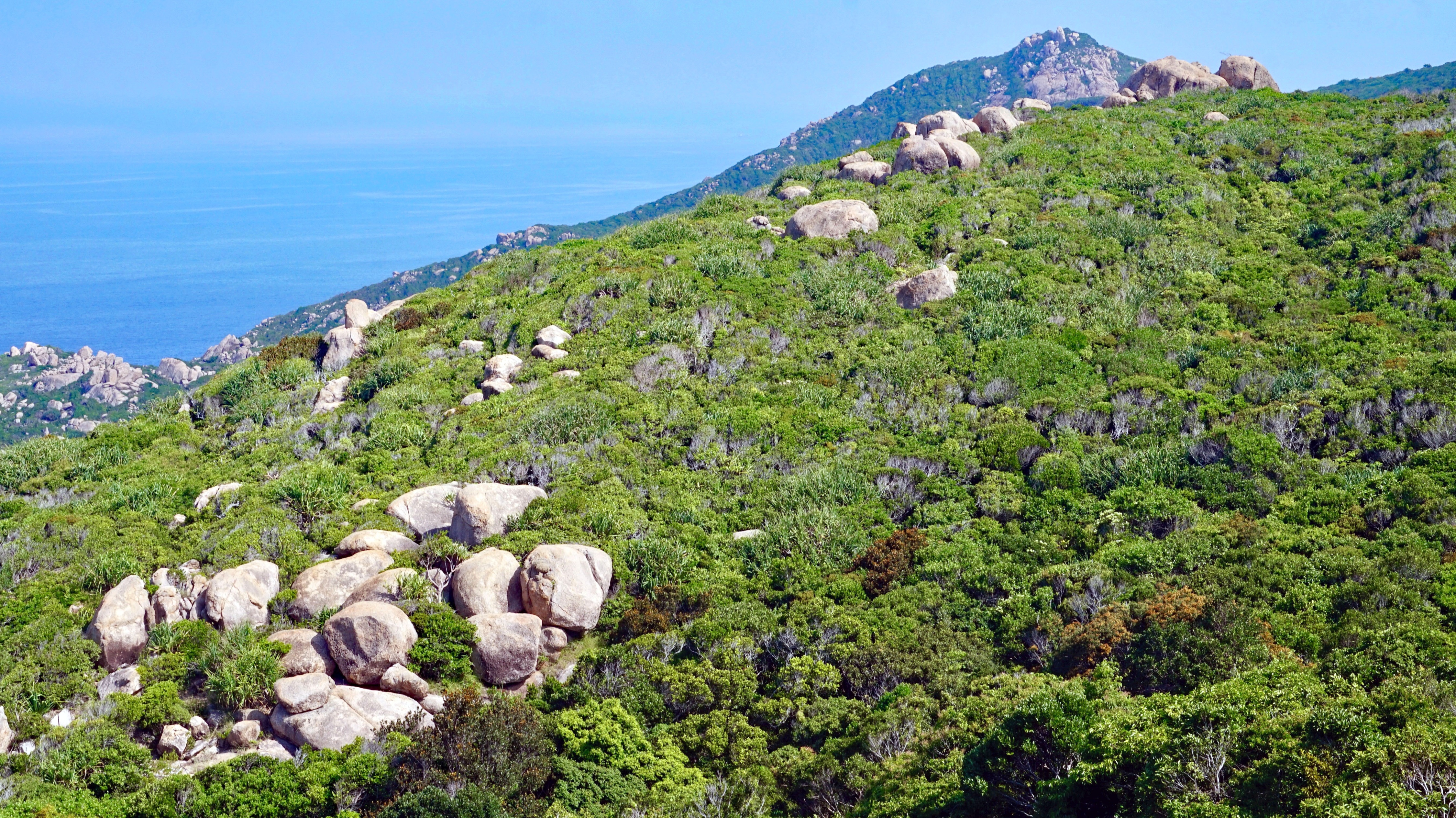 Forschungsverbund Berlin e.V. - News